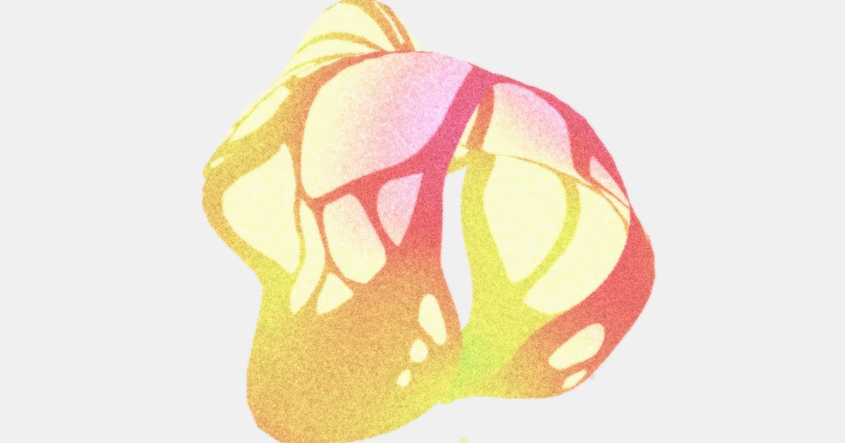 Transform │ Sketch Of Three Js